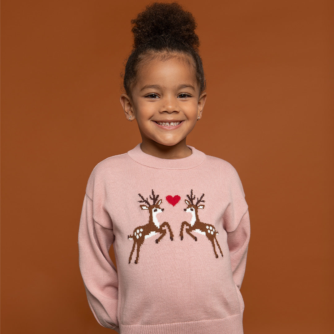 Dasher and Dancer on Rose Sweater – miles the label